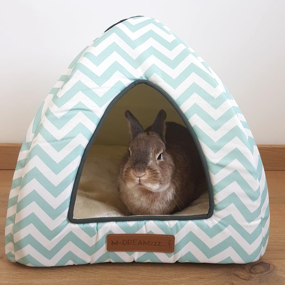 Liste cadeau pour lapin : 12 idées - Le meilleur pour mon lapin